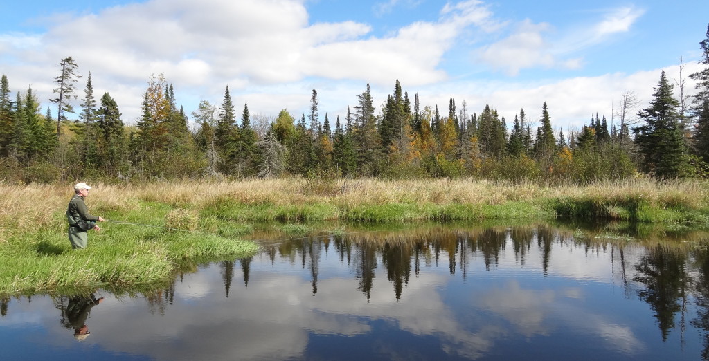 Fishing a Sucker River Beaver Pond - Namebini